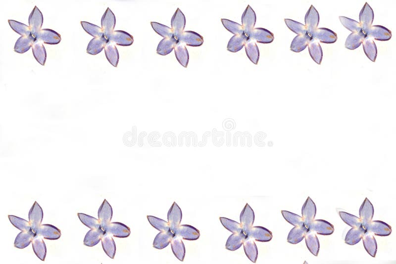 Simple Violet Frame Suitable for Text Input. Stock Image - Image of ...