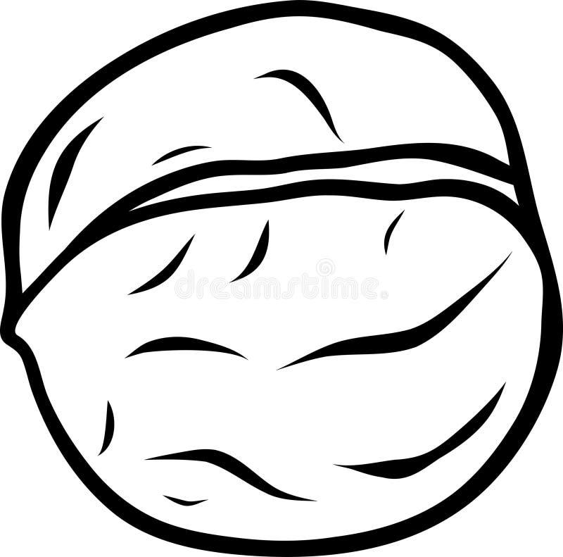 Simple Walnut Vector Icon, Black and White Hand-drawn Icon, Doodle and ...