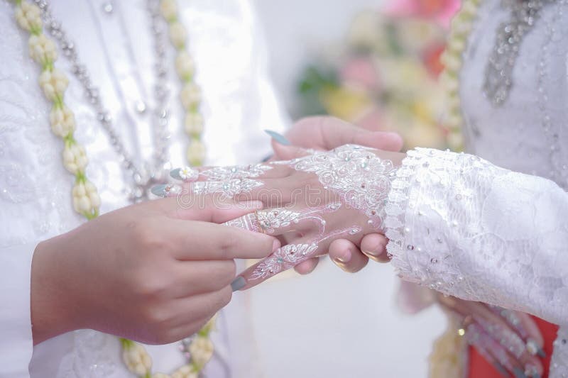 Simple Wedding Ring Beautiful Stock Image - Image of ring, bride: 367196421