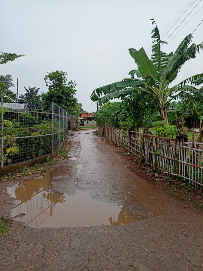 The Wet Path at the Village Stock Photo - Image of canal, soil: 239467546