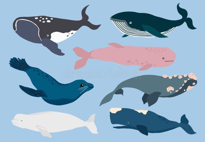 Simple Whale Character.Vector Illustration Character Doodle Cartoon ...