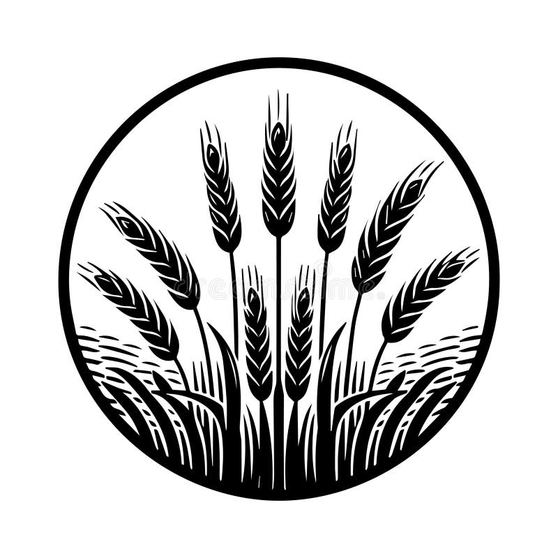 Wheat Field Vector Icon Vintage Retro Logo Illustration Stock Vector ...