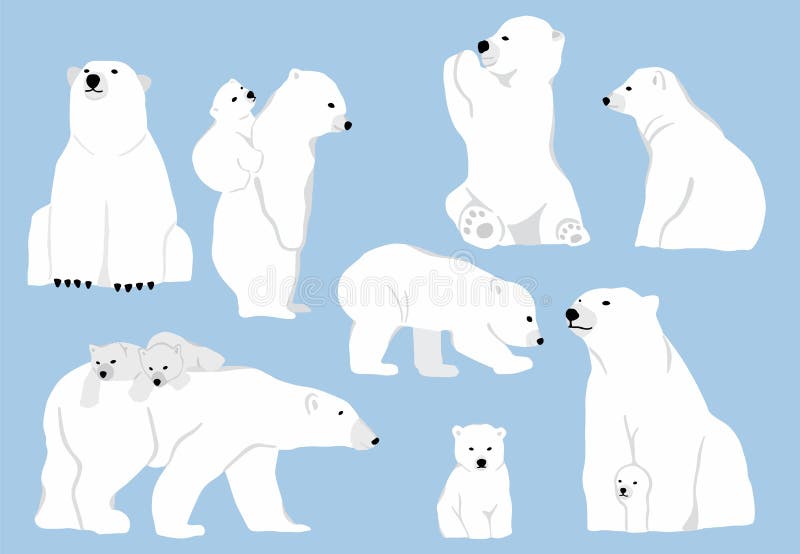 Simple White Bear Character.Vector Illustration Character Doodle ...