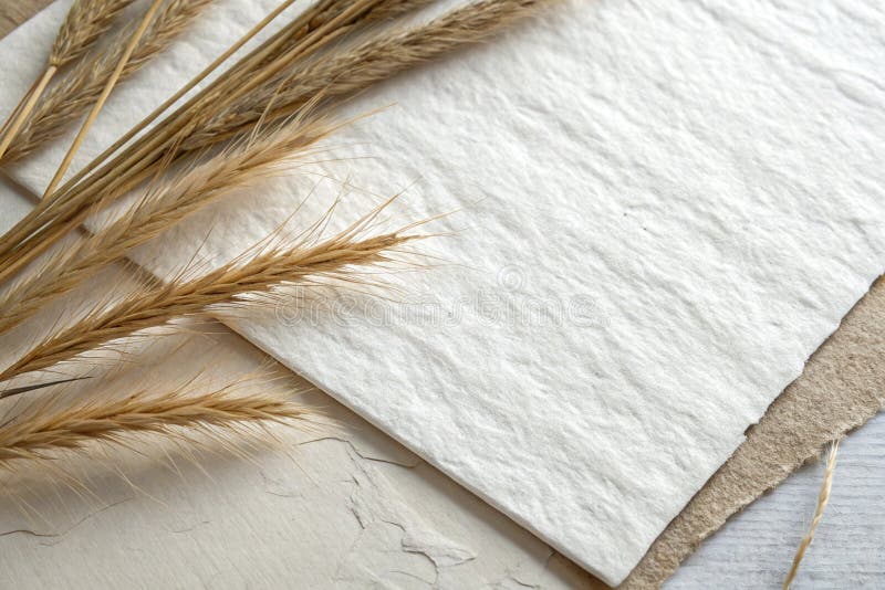 White Paper Texture Background Stock Illustration - Illustration of ...