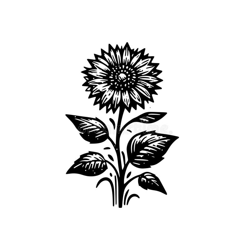 Wild Sunflower Front View Vector Icon Vintage Retro Logo Illustration ...