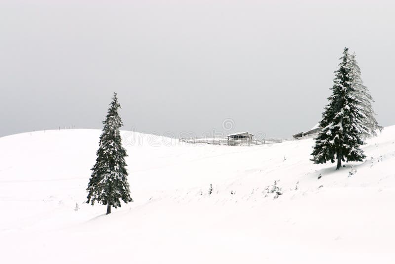 Simple Winter Picture. Image: 1770165