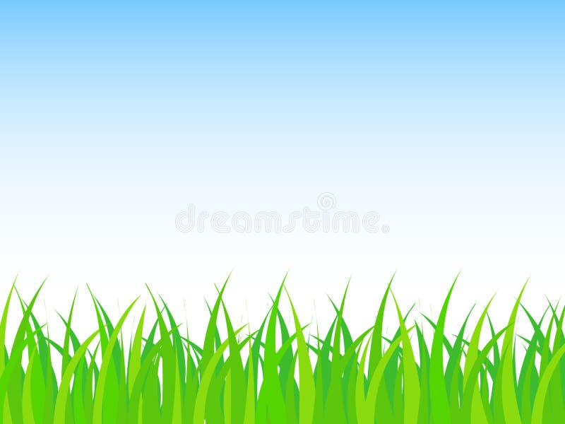 Simple and Wonderful Background from Green Grass and Clear Sky Stock ...
