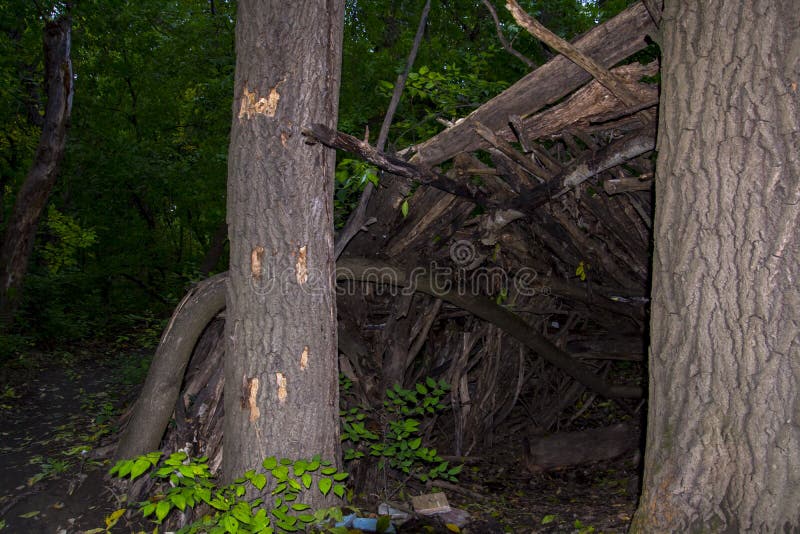 Simple Wooden Hut in the Forest in Autumn Stock Image - Image of tree ...