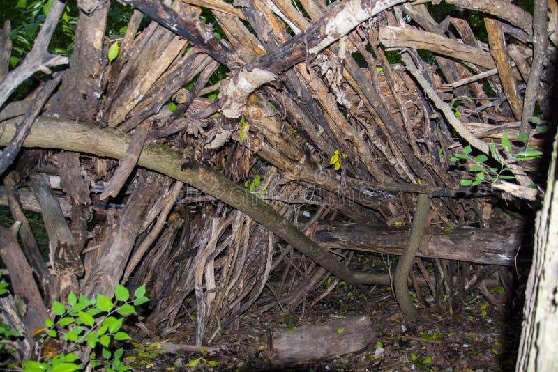 Simple Wooden Hut in the Forest in Autumn Stock Image - Image of autumn ...