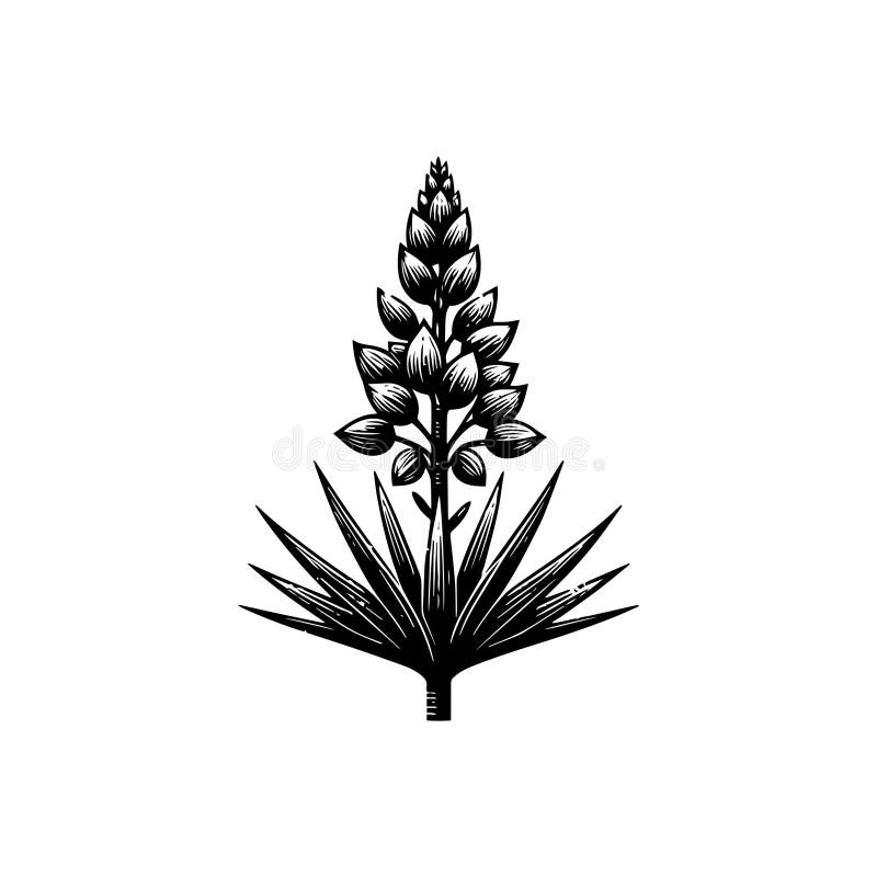 Yucca Flower Front View Vector for Vintage Logo and Retro Illustration ...