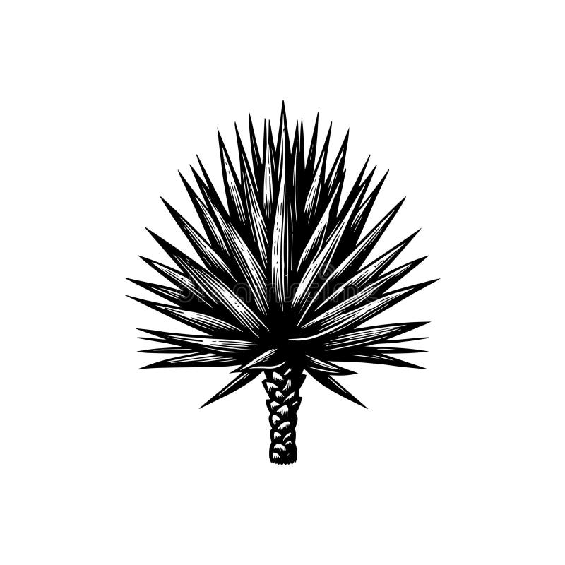 Yucca Plant Front View Vector for Vintage Logo and Retro Illustration ...