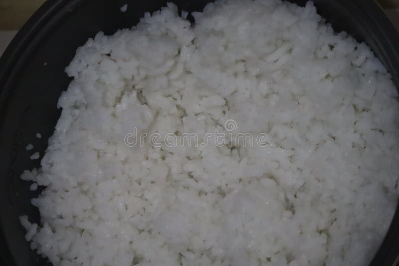 The Simplicity of Fluffy White Rice – the Perfect Visual Element Stock ...