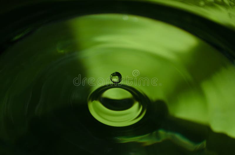 The simplicity stock image. Image of flower, circle - 290186509