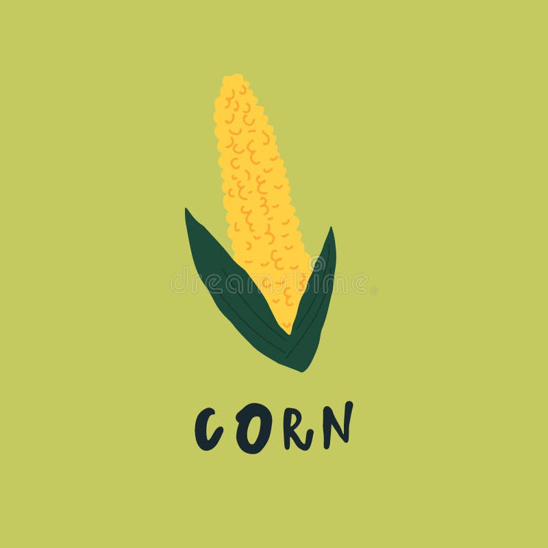 Corn Word in Letter C. Cartoon Outline Cob Stock Vector - Illustration ...