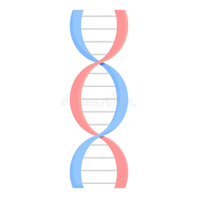 Simplified Dna Double Helix Illustration Stock Vector - Illustration of ...