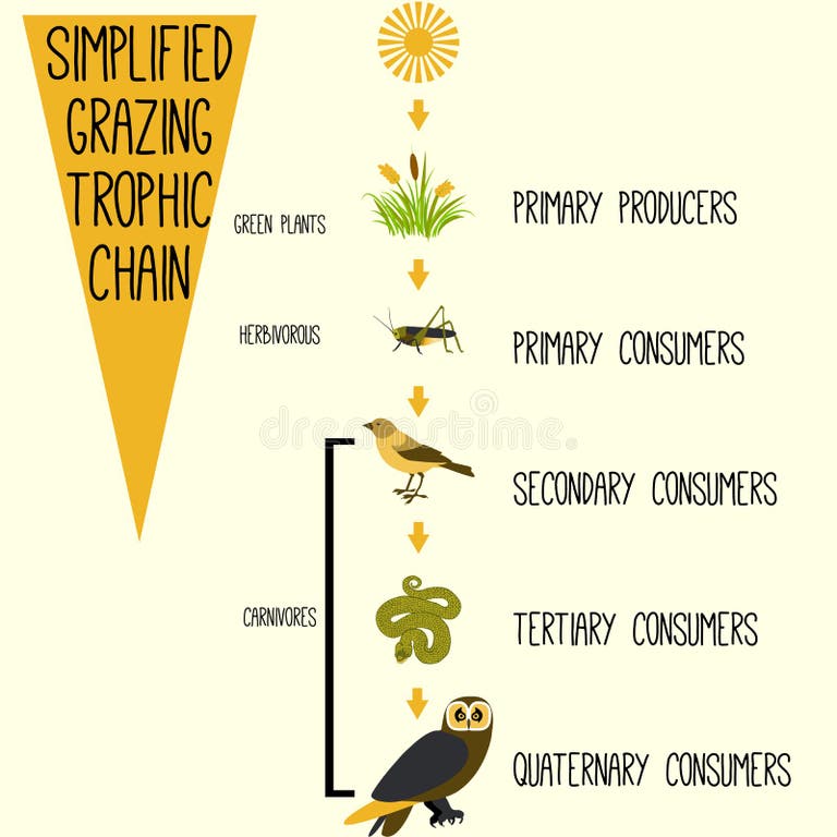 Energy Chain Stock Illustrations – 15,573 Energy Chain Stock ...