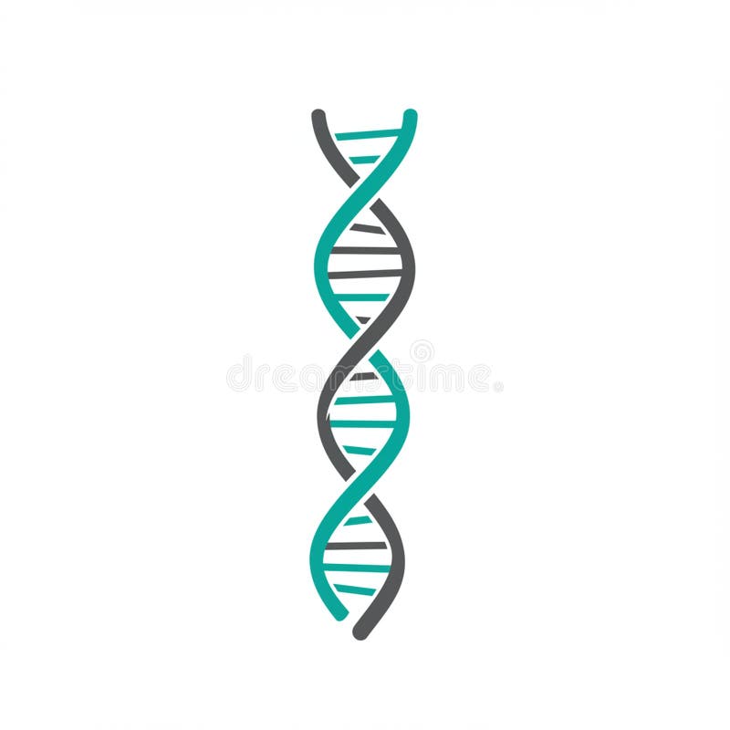A Simplified Illustration of a DNA Double Helix Model. it Features a ...
