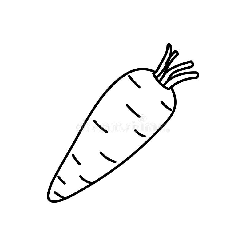 Carrot Drawn in Simple Black and White Line Art Style Illustrating a ...