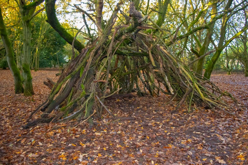 Simply Constructed Wooden Den within the Forest Stock Image - Image of ...