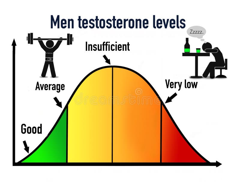 Testosterone Chart Stock Photos - Free & Royalty-Free Stock Photos from ...