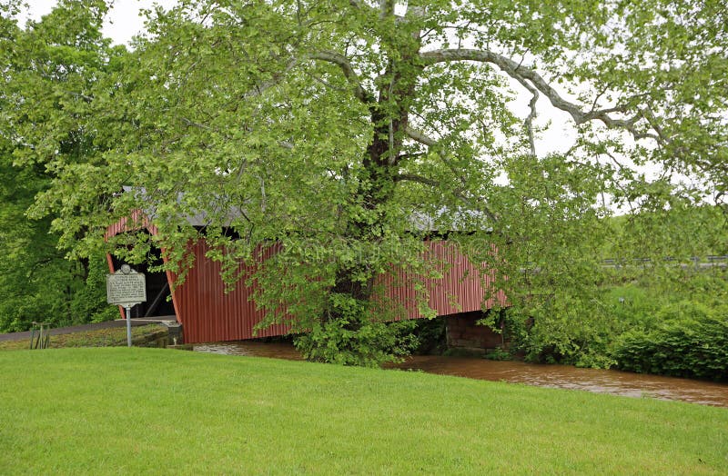 Simpson Bridge Behind a Tree Stock Photo - Image of nature, creek ...