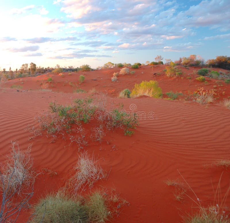 Simpson Desert, Australia Outb Stock Photo - Image of scenics, place ...