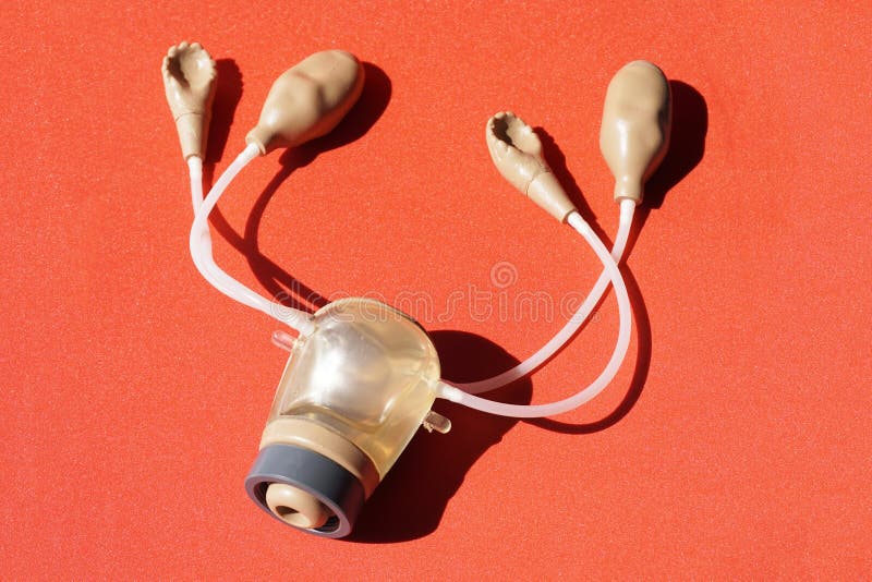 Female Uterus Fallopian Tubes Stock Photos - Download 39 Royalty Free ...