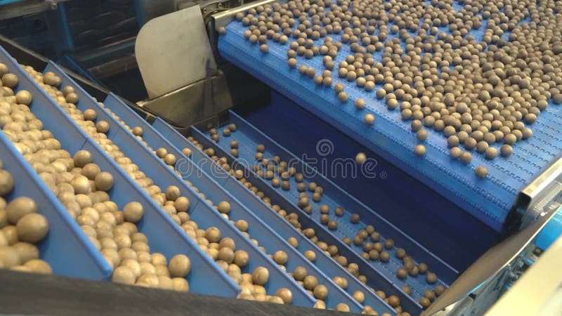 Simulation of the Process of Hazelnut Calibration in a Carriage of a ...