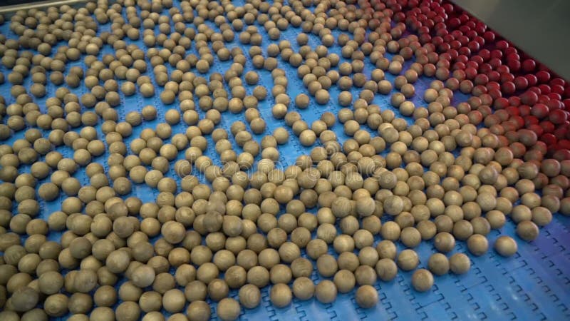 Simulation of the Process of Hazelnut Calibration in a Carriage of a ...