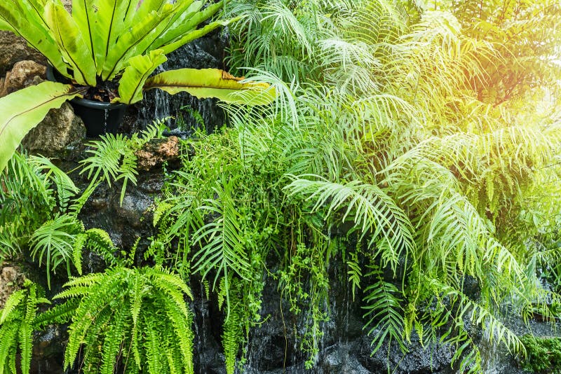 Simulation Waterfall Garden..Model Waterfall in the Garden.Model ...