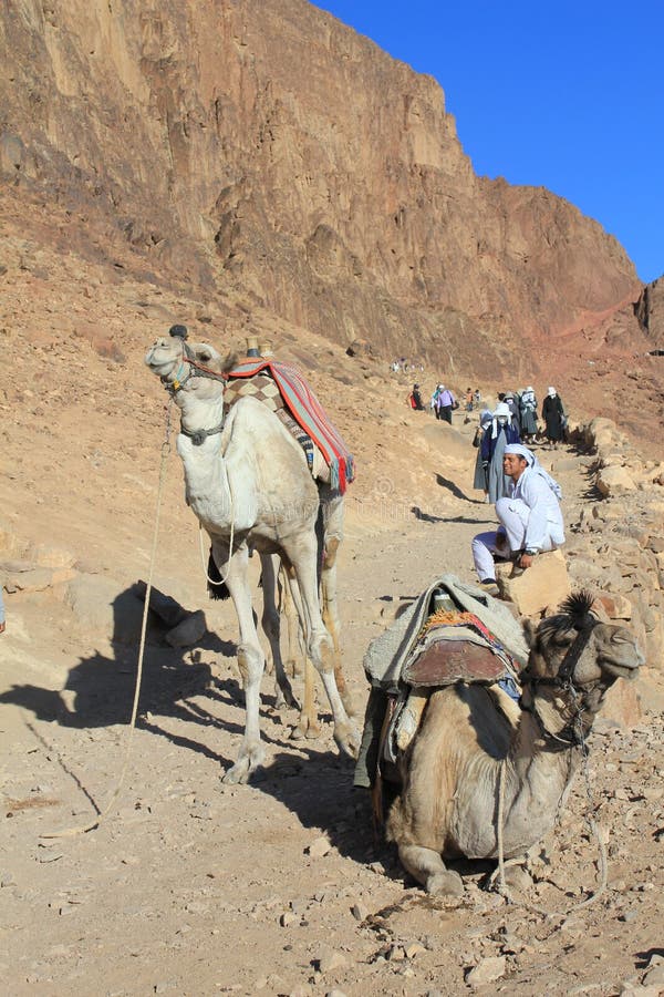 Sinai editorial photo. Image of peninsula, egyptians - 28732796