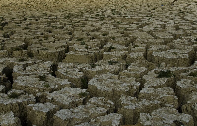 Sinais da seca foto de stock. Imagem de seco, fazenda - 36623042
