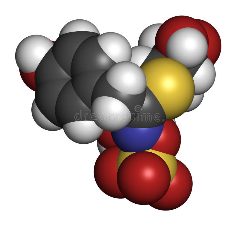Sinalbin Glucosinolate Molecule. Present in Seeds of White Mustard ...