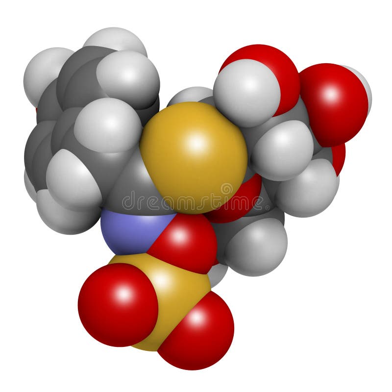 Sinalbin Glucosinolate Molecule. Present in Seeds of White Mustard ...