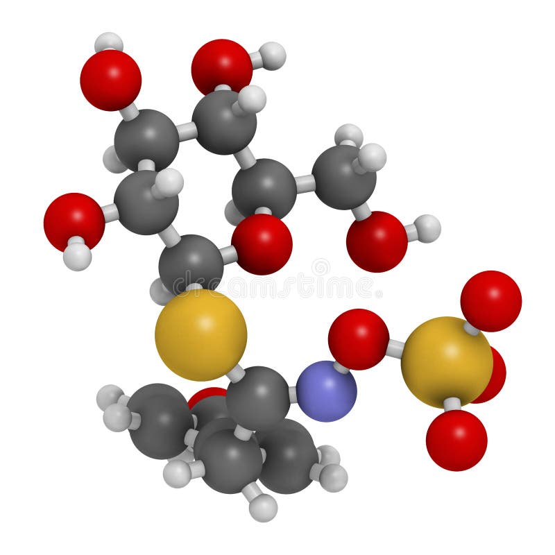 Sinalbin Glucosinolate Molecule. Present in Seeds of White Mustard ...