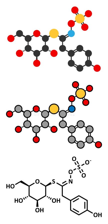 Sinalbin Glucosinolate Molecule. Present in Seeds of White Mustard ...