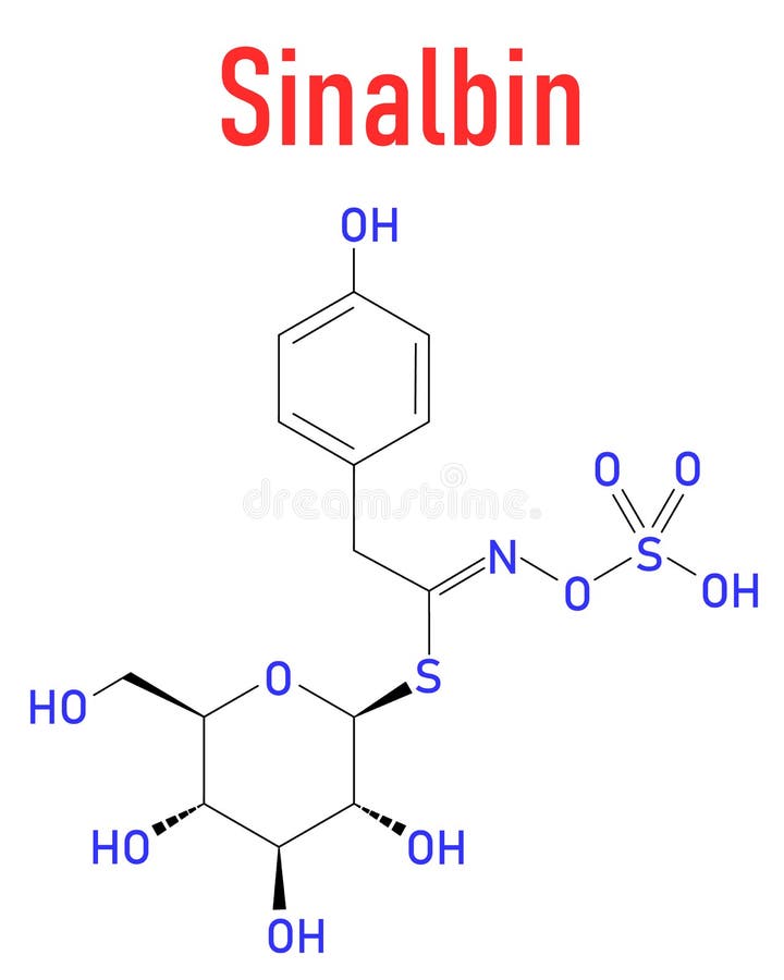 Sinalbin Glucosinolate Molecule. Present in Seeds of White Mustard ...