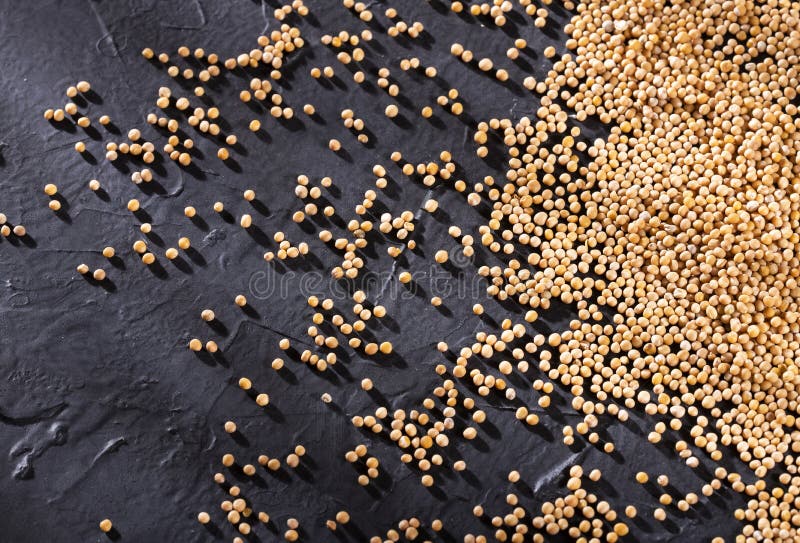 Sinapis Alba - Organic Mustard Seeds Stock Photo - Image of bowl, white ...