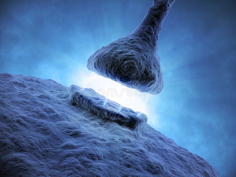 Sinapse - Sistema Neural Humano Ilustração Stock - Ilustração de humano ...