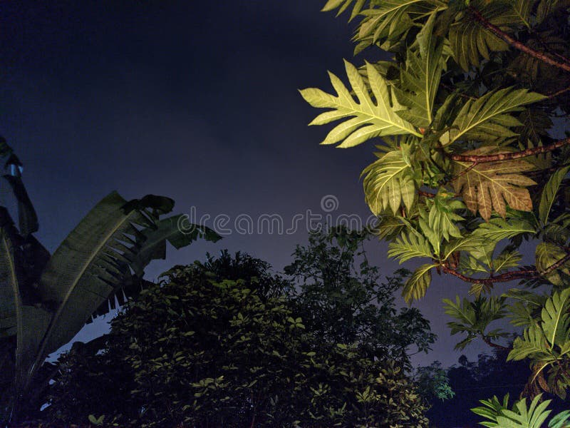 Sinar Bulan Purnama Pagi Hari Stock Image - Image of purnama, sinar ...