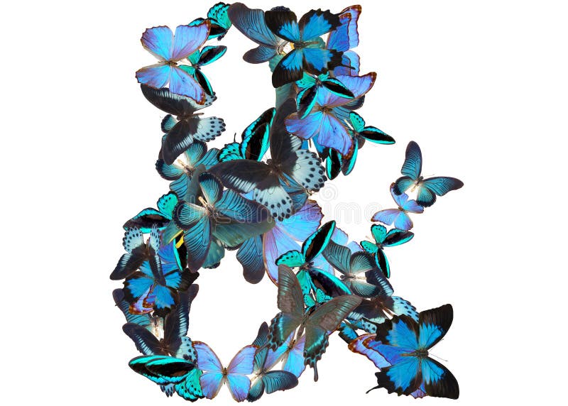 Sing of blue butterfly 1 stock illustration. Illustration of italics ...