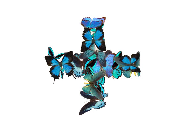 Sing of blue butterfly 4 stock illustration. Illustration of print ...