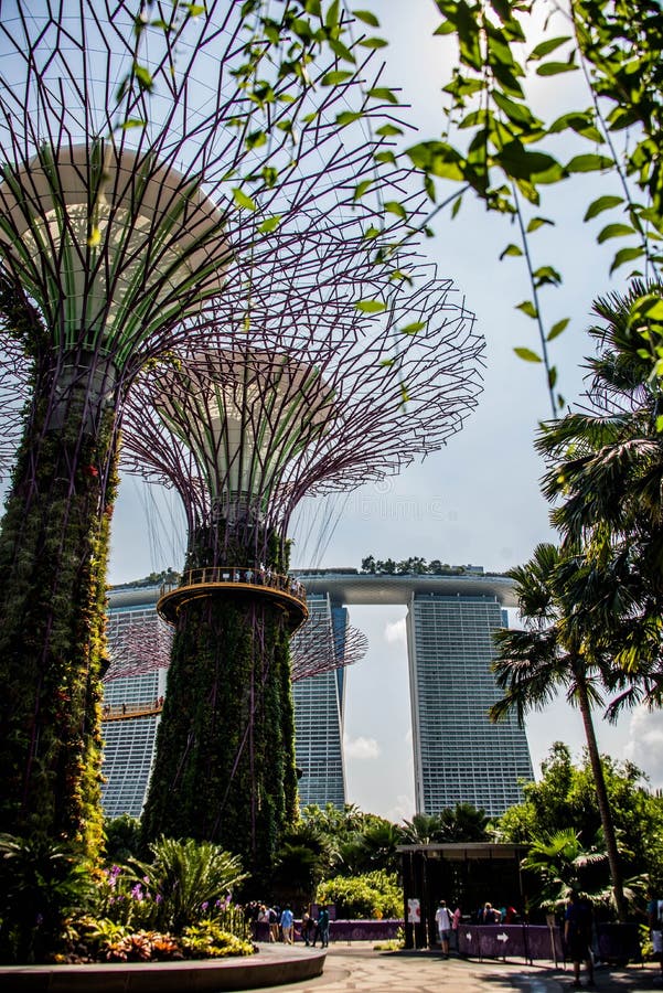Singapore stock image. Image of tree, singapore, artificial - 201015971