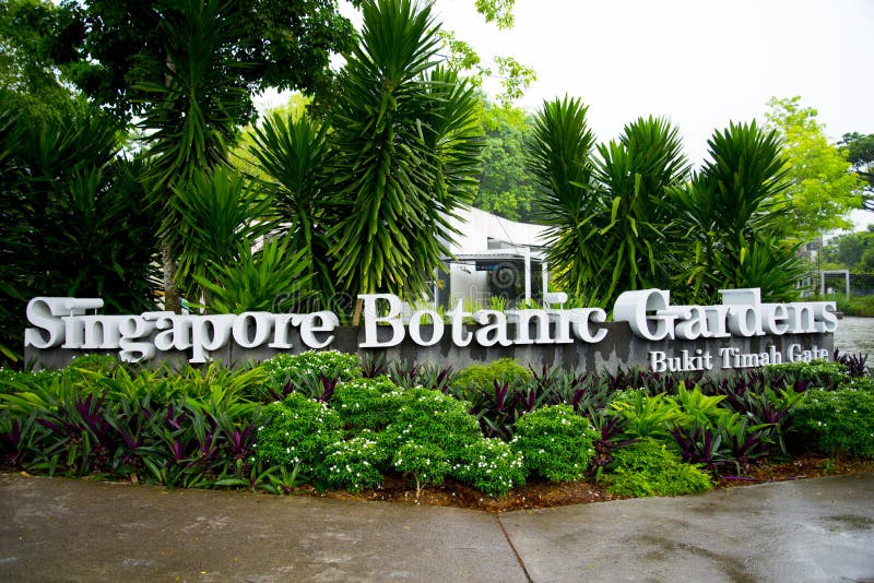 Singapore Botanic Gardens editorial stock image. Image of blossom ...
