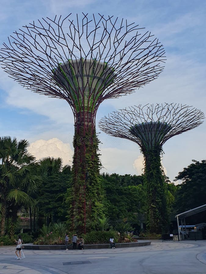 The Singapore Gardens by the Bay Editorial Photo - Image of landmark ...