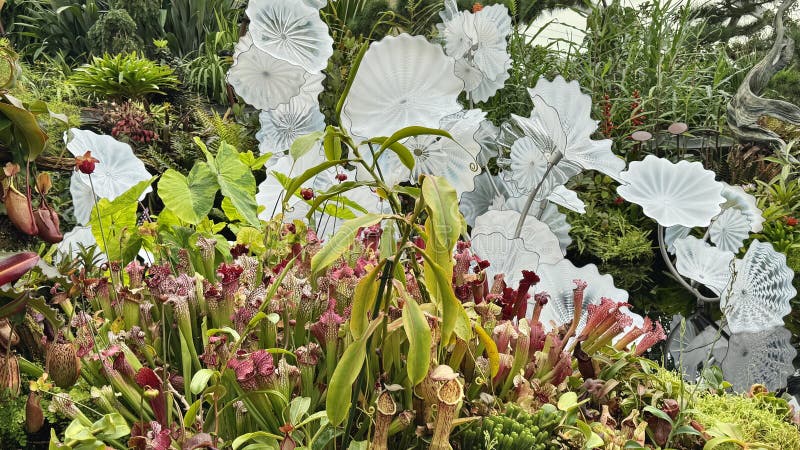 Beautiful Landscape of Plants and Flowers in the Gardens by the Bay in ...