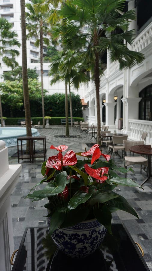 Singapore - January 20, 2025 : the Courtyard of Singapore S Famous ...