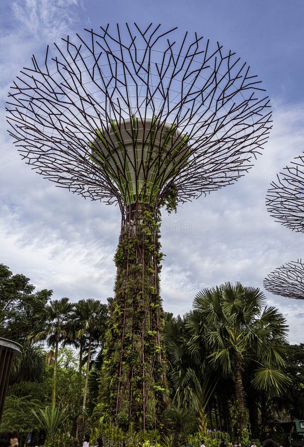 Singapore, July 24, 2022 - Super Tree Grove Stock Photo - Image of ...