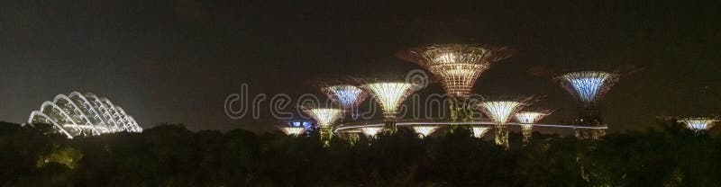 Singapore, July 24, 2022 - Super Tree Grove in Distance at Night Stock ...