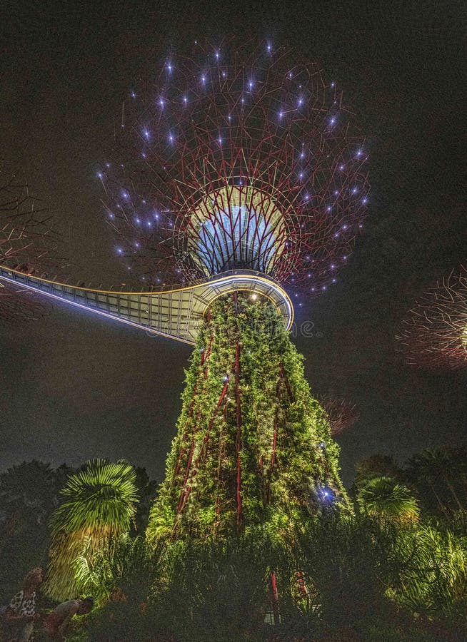 Singapore, July 24, 2022 - Super Tree Grove Stock Photo - Image of ...